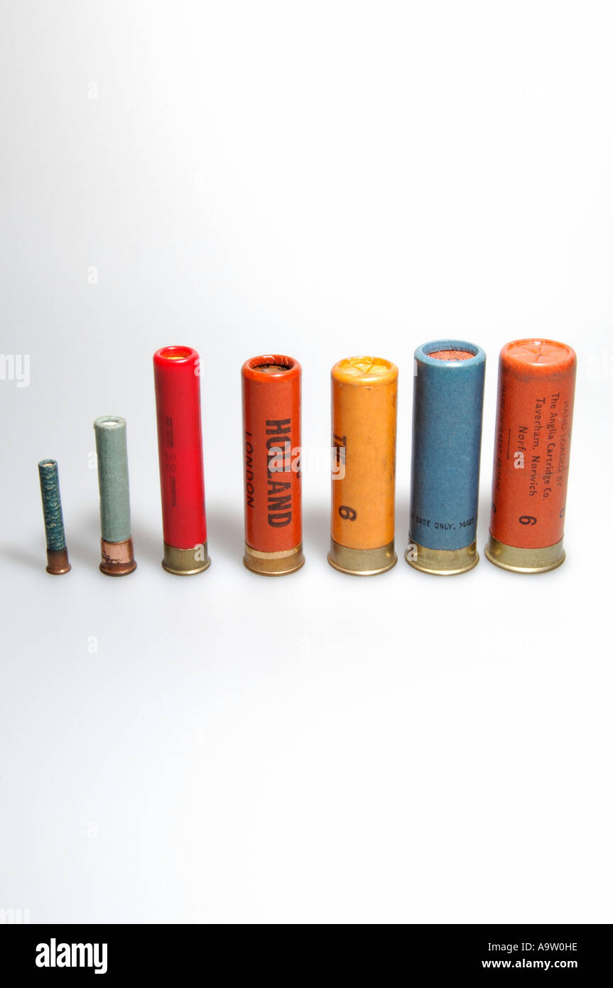 Collection of seven assorted shotgun cartridges ranging from .22 to 12 ...