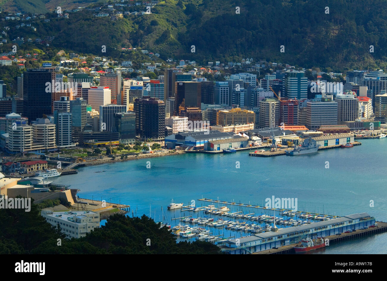 Wellington hi-res stock photography and images - Alamy