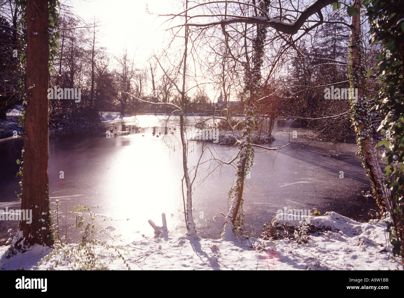 frozen pond in Waterlow Park Highgate London England Stock Photo - Alamy