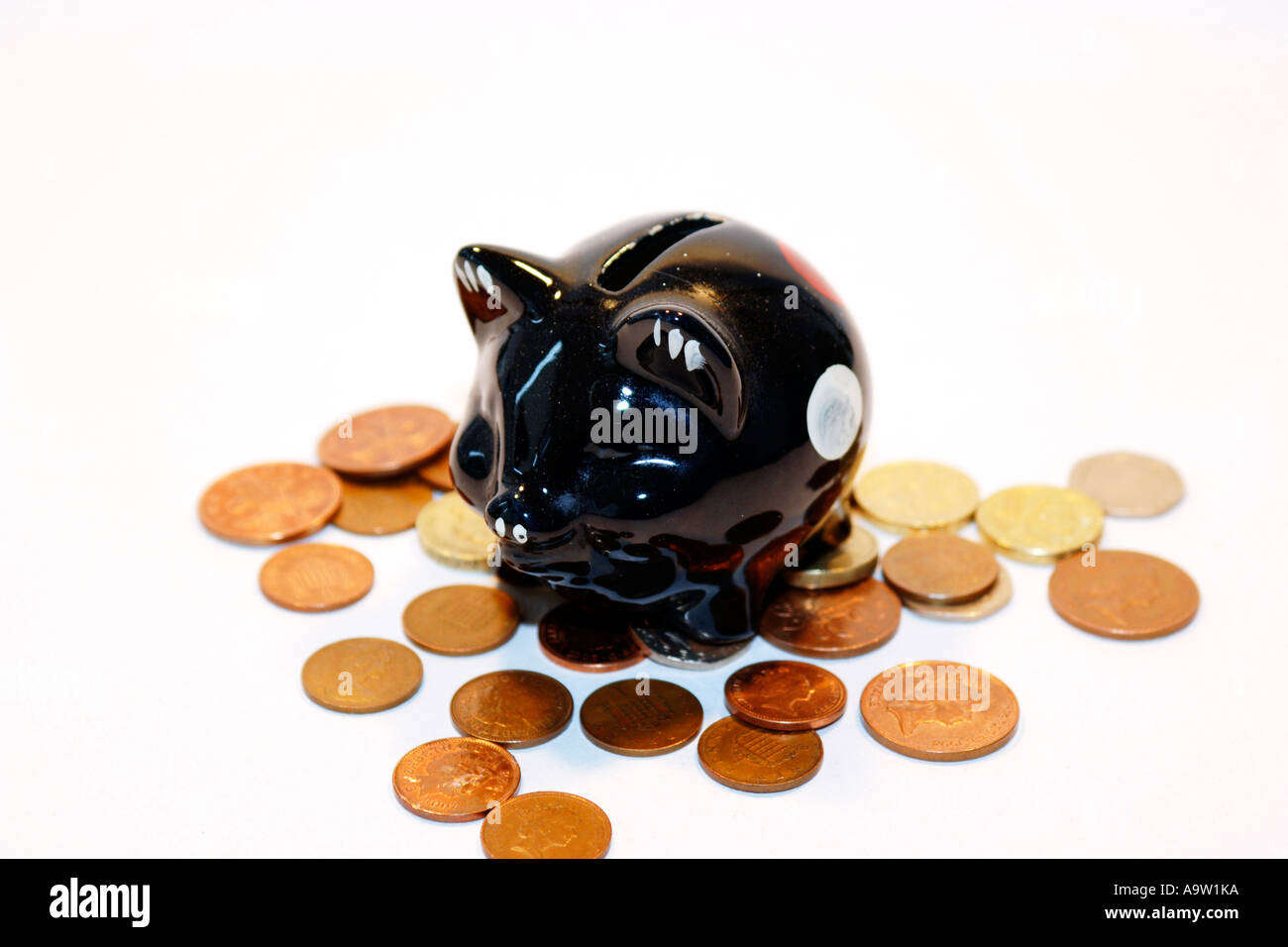 Pig surrounded hi-res stock photography and images - Alamy