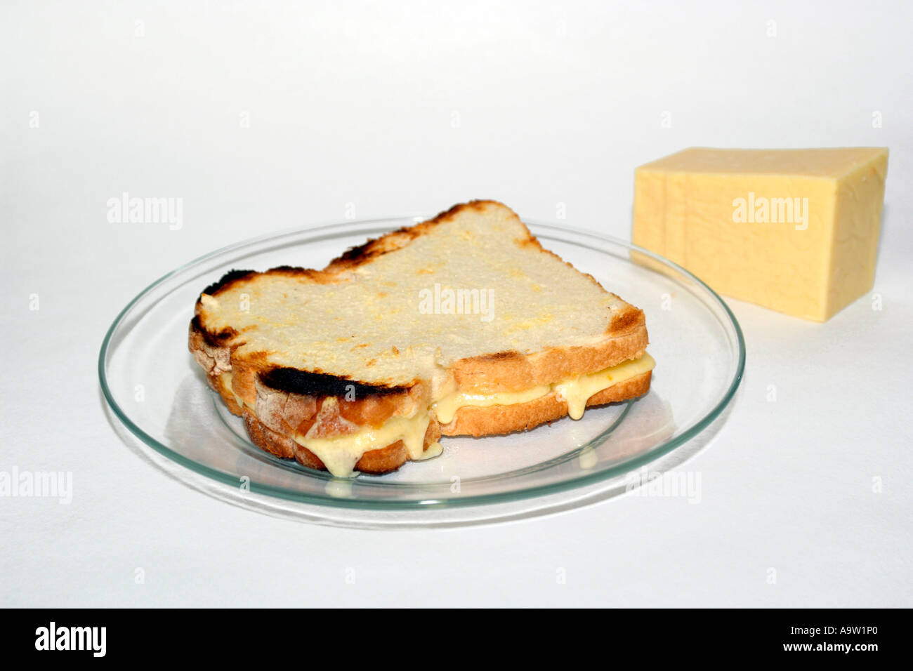 Toasted Cheddar Cheese sandwich with the liquified cheese oozing out ...