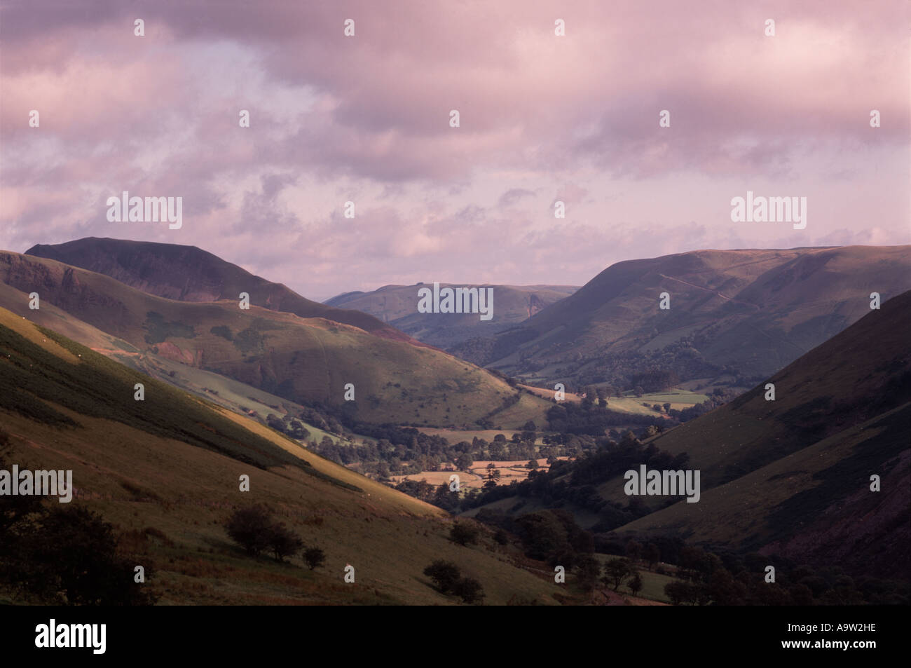 Valley of the River Dovey Powys Wales mountains hills Stock Photo - Alamy
