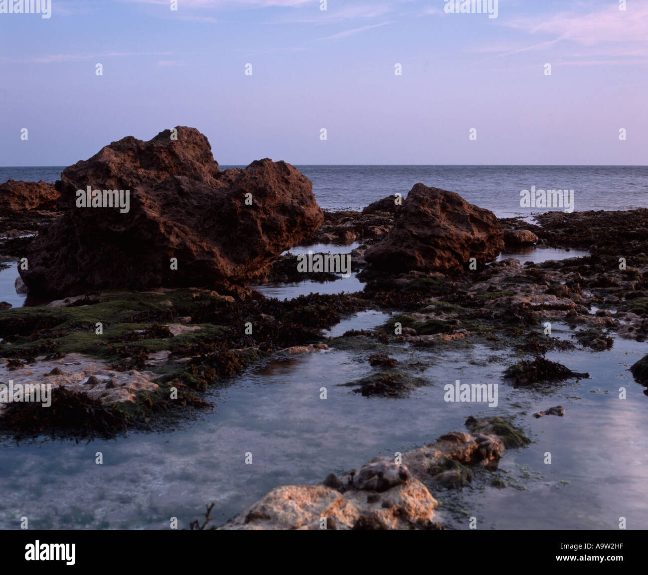 Rocks on foreshore Devon England Stock Photo - Alamy