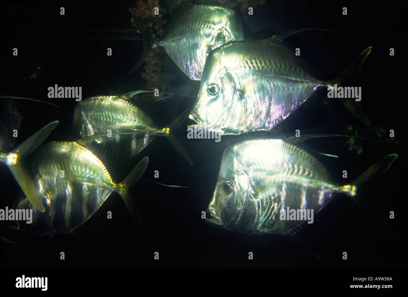 Black and water hi-res stock photography and images - Alamy