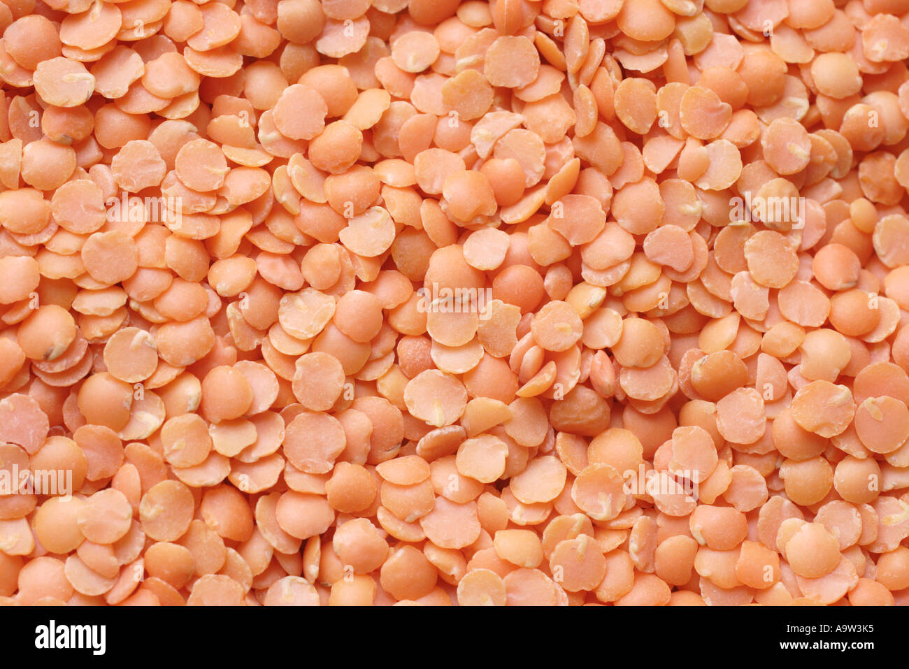 red split lentils Stock Photo - Alamy