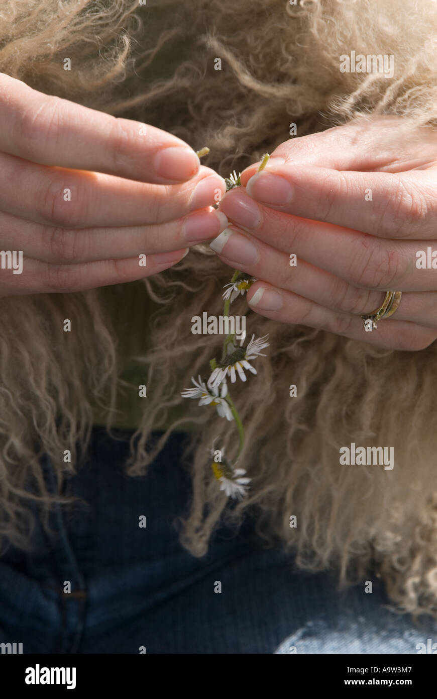 Girl making daisies hi-res stock photography and images - Alamy