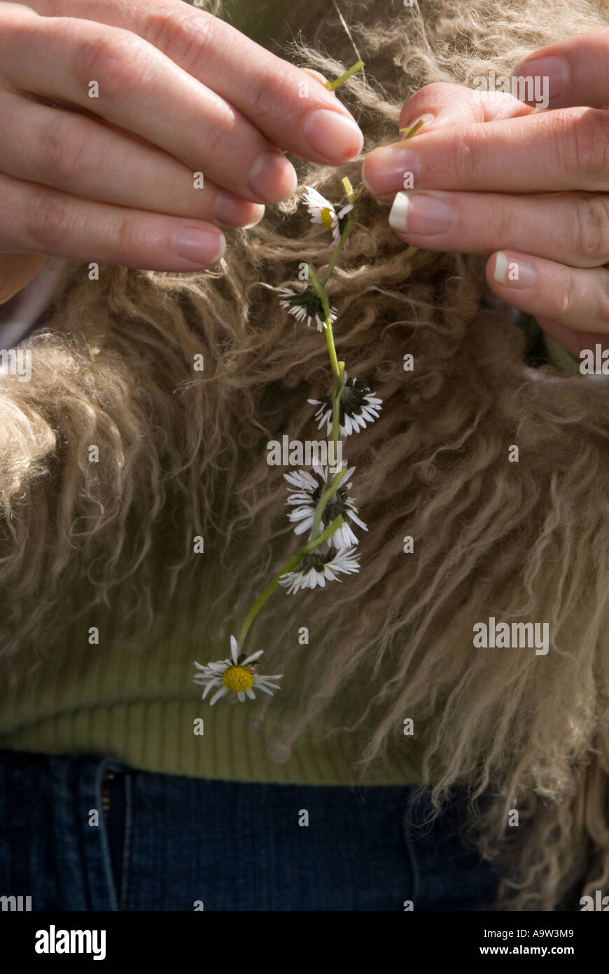Girl making daisy chain hi-res stock photography and images - Alamy