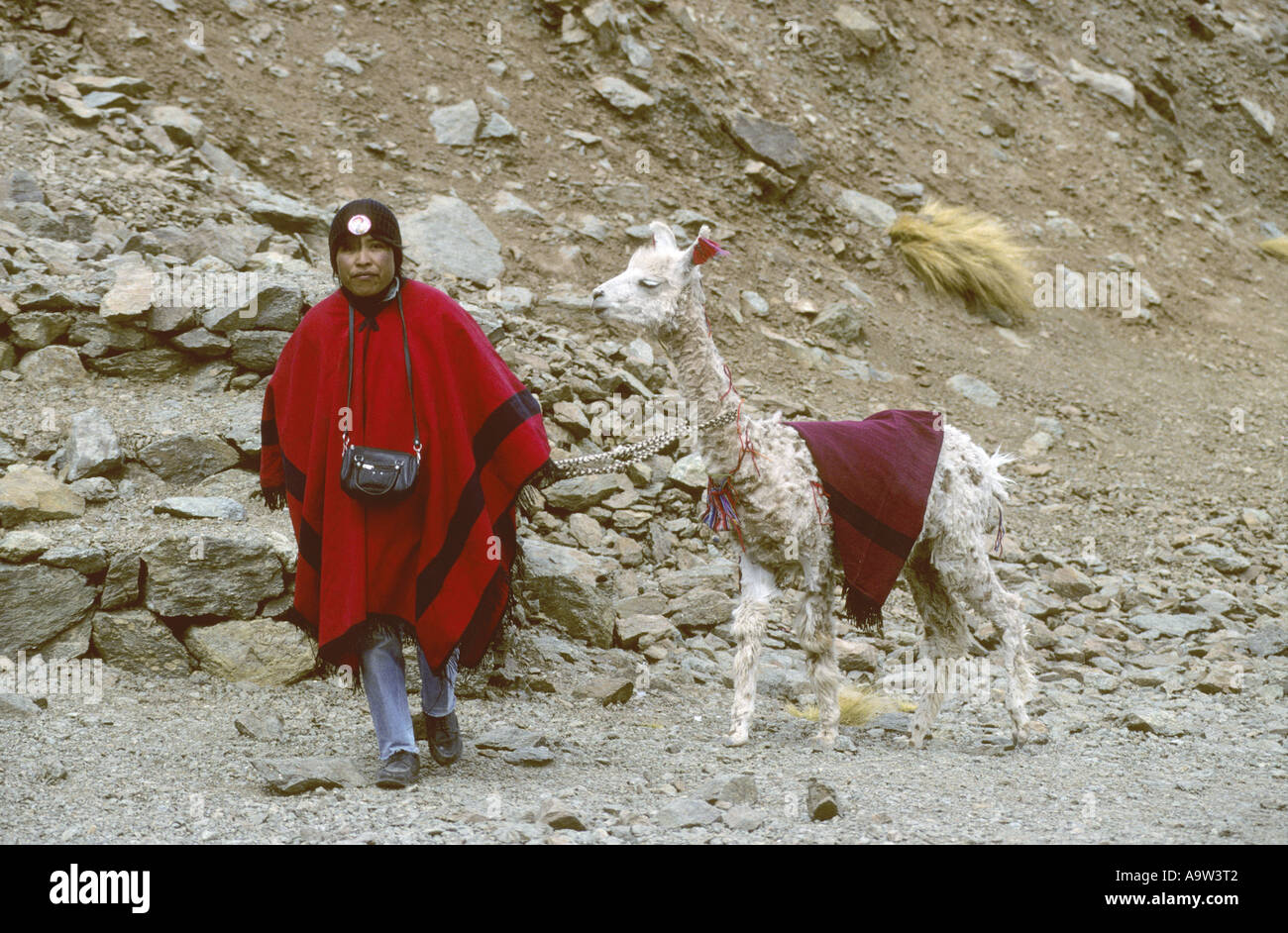 Llama poncho hi-res stock photography and images - Alamy