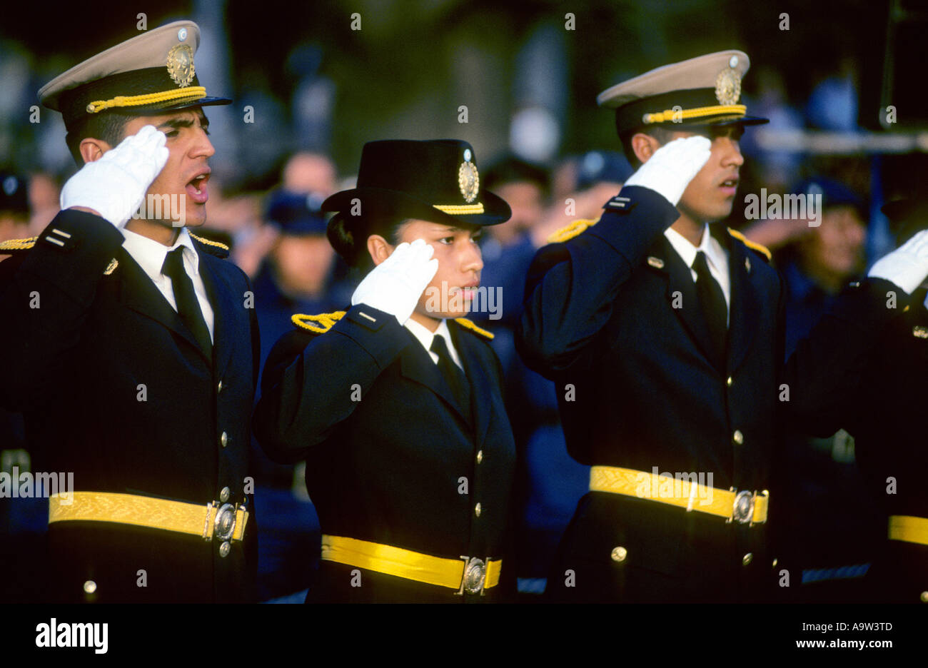 Police officers saluting hi-res stock photography and images - Alamy