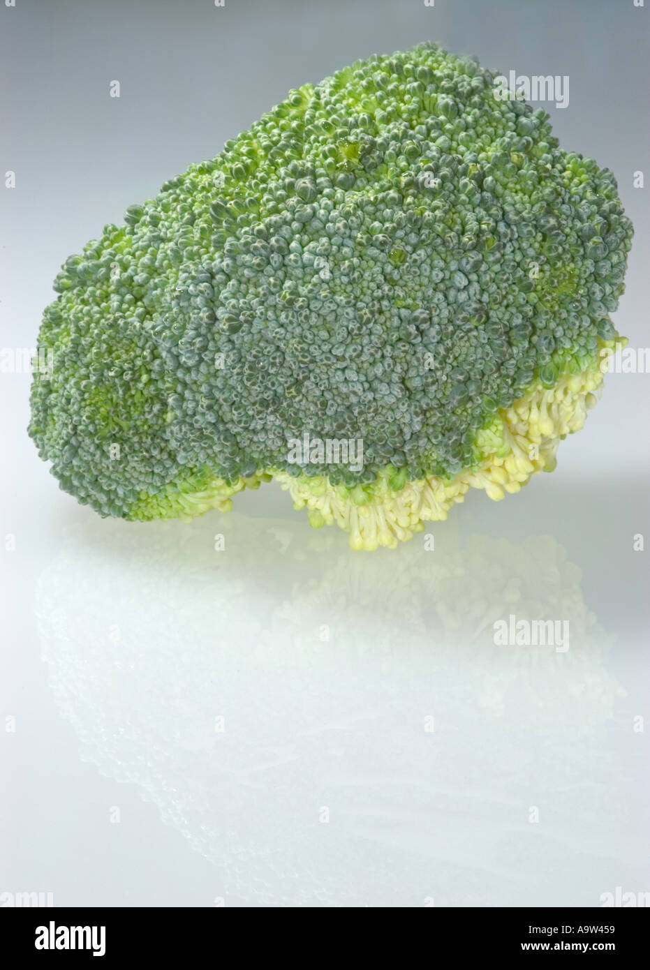 Broccoli close up Stock Photo - Alamy