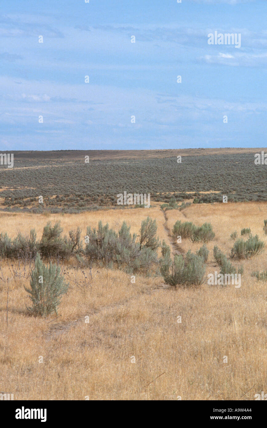 old wagon ruts on Oregon Trail Trail marker in midground Keeney Pass ...