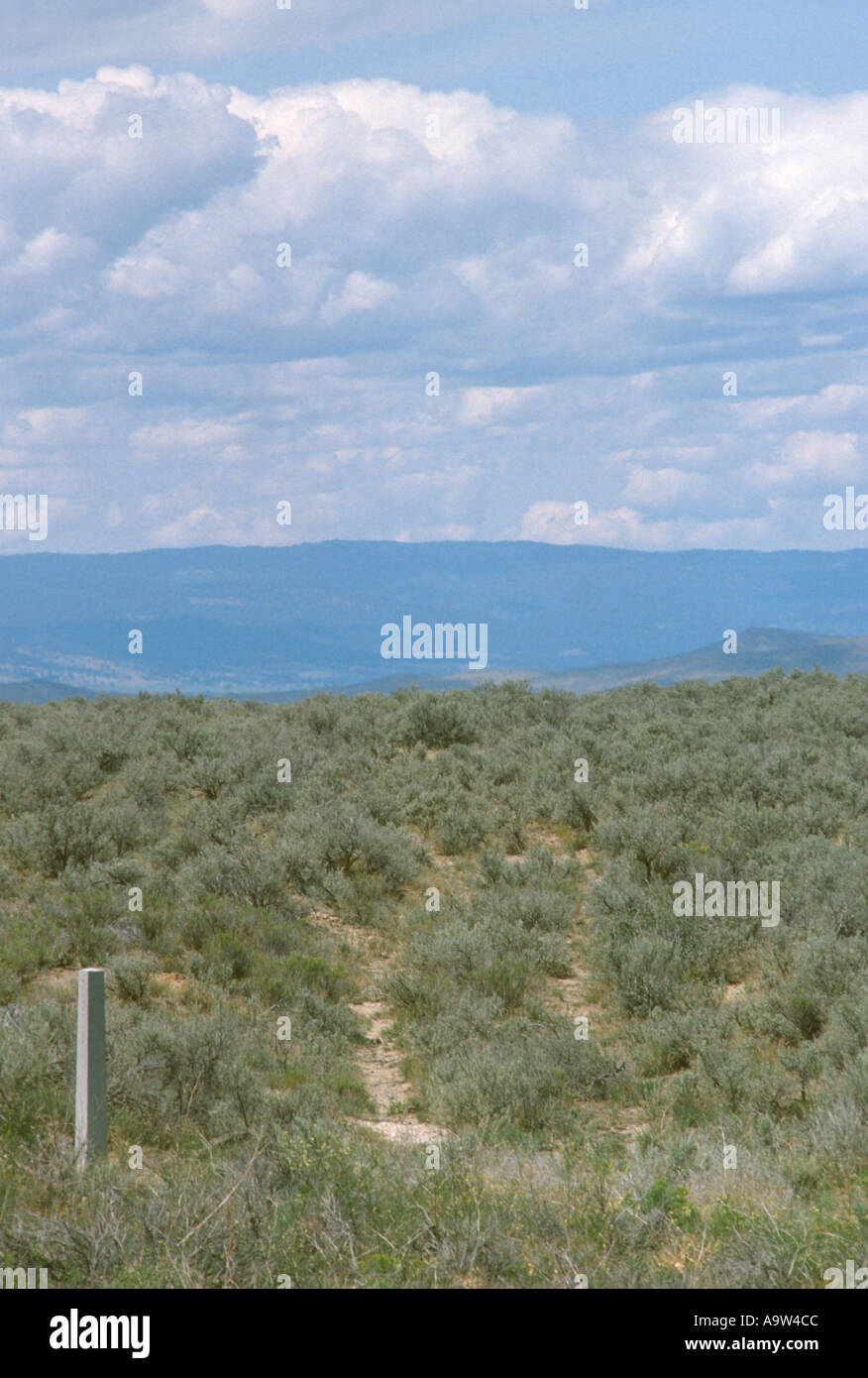 Trail Marker and old ruts from wagons through sagebrush on Oregon Trail ...