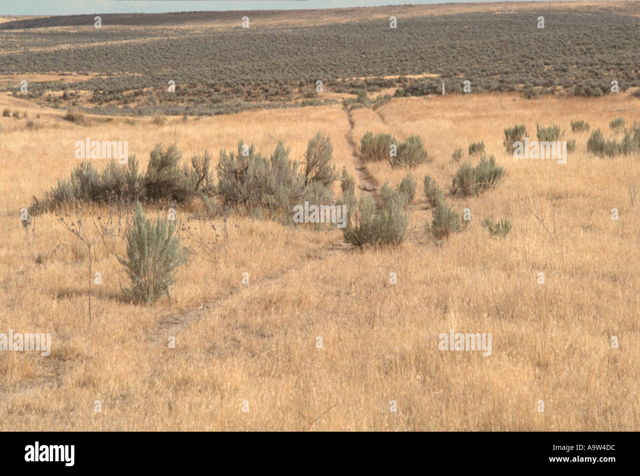 wagon ruts on Oregon Trail Trail Marker in midground Keeney Pass Vale ...