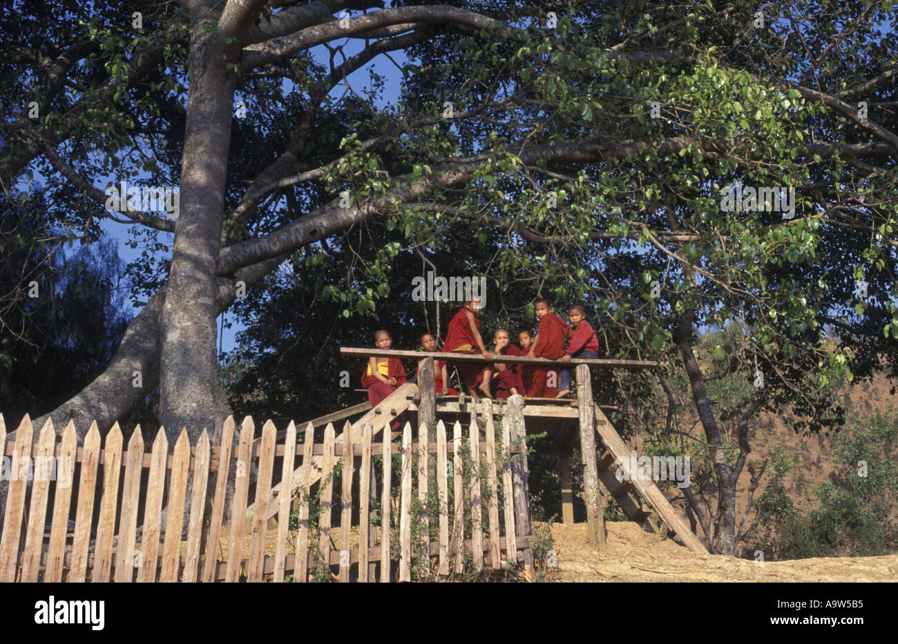 Monks under tree hi-res stock photography and images - Alamy