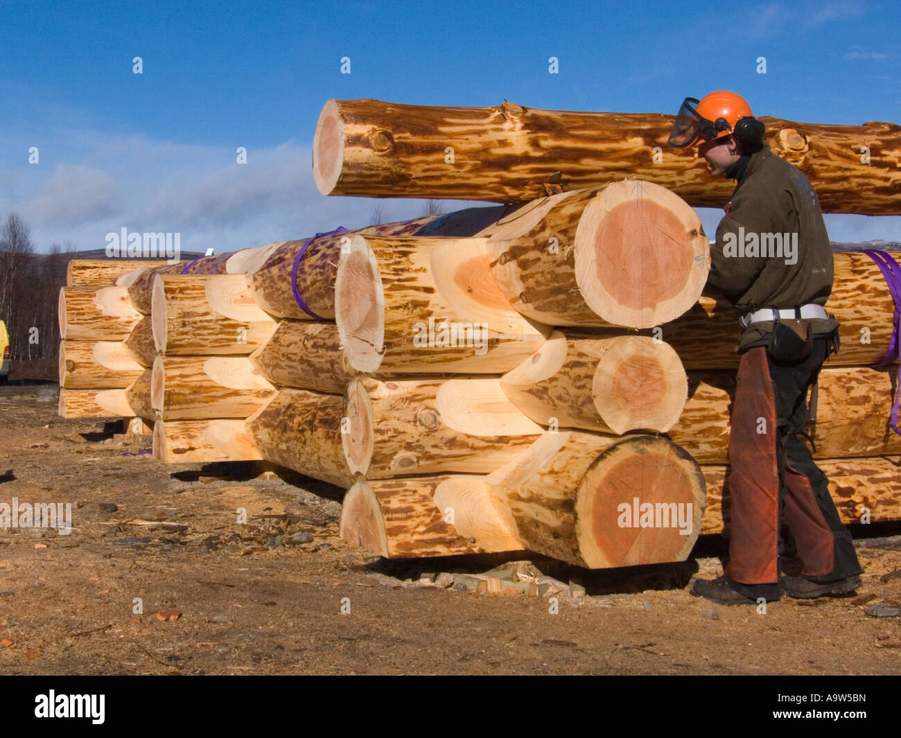Log Cabin under construction in Scotish Highlands Stock Photo - Alamy