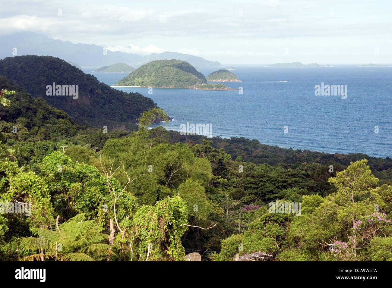 Atlantic Forest Brazil Beaches