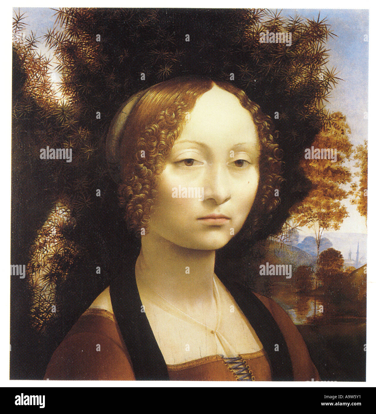 portrait of Ginerva de'Benci by Leonardo da Vinci Stock Photo - Alamy