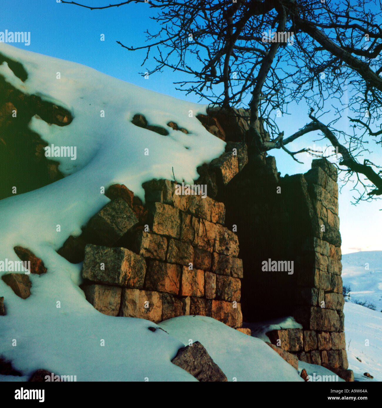 Lebanon climate hi-res stock photography and images - Alamy