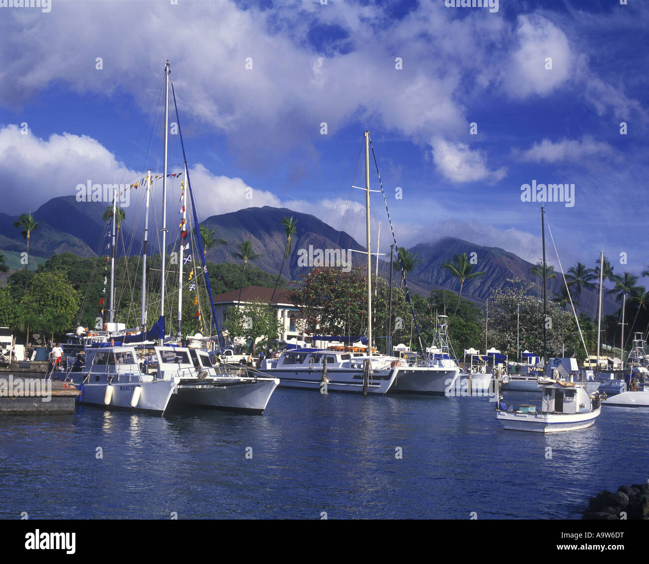 1994 HISTORICAL YACHTS QUAY LAHAINA HARBOR MAUI HAWAII USA Stock Photo ...