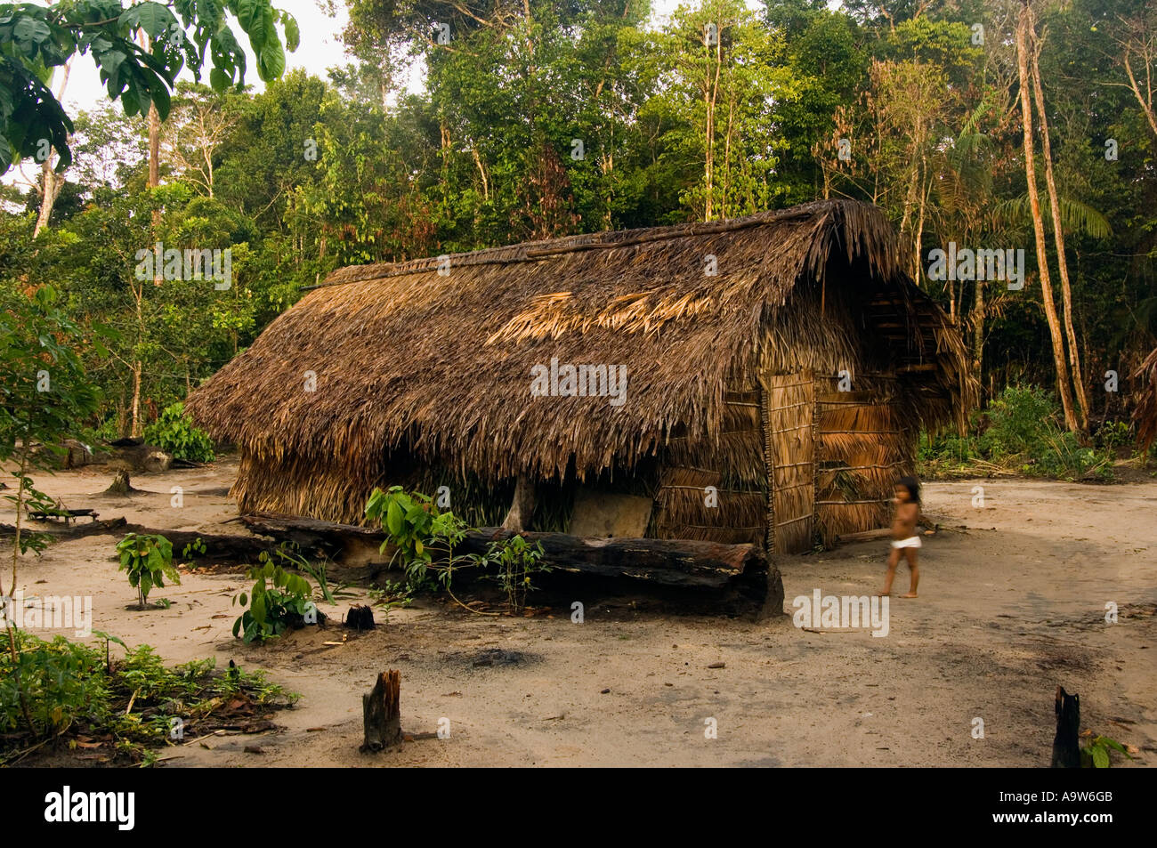 Wooden house of Dessanos Indian tribe Rio Taruma Amazon state Brazil ...