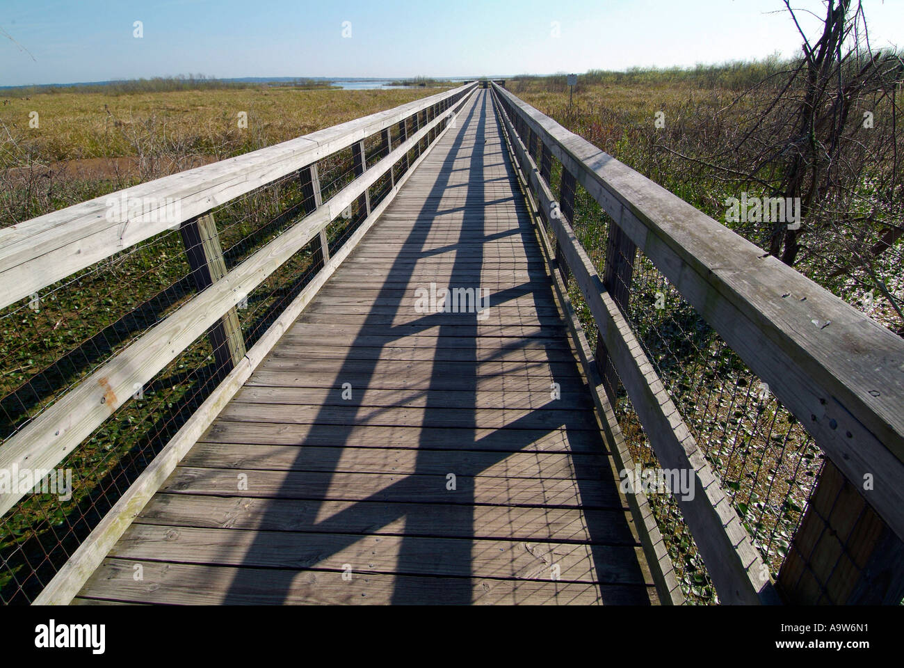 William bartram trail hi-res stock photography and images - Alamy