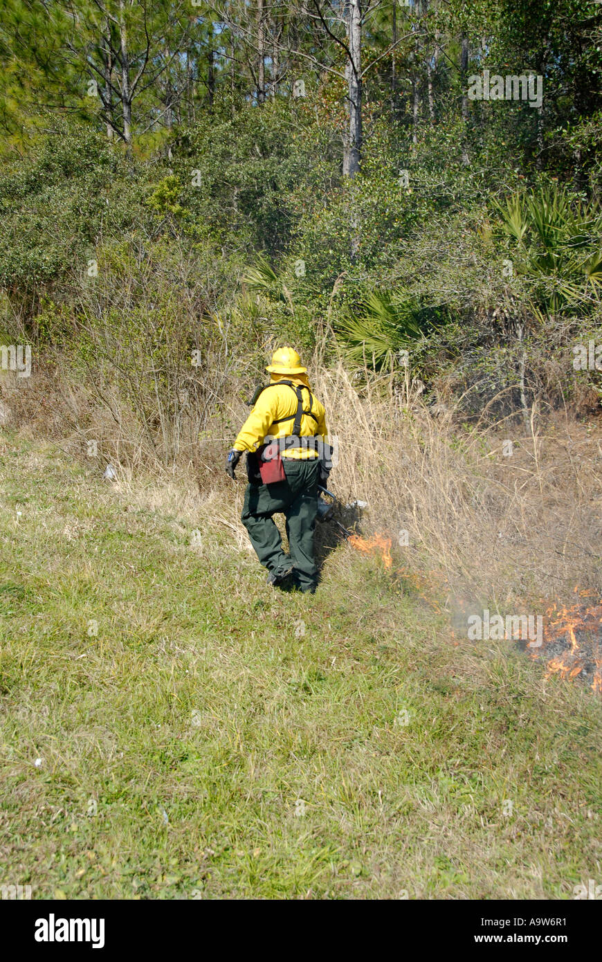 Controlled burning of underbrush hi-res stock photography and images ...