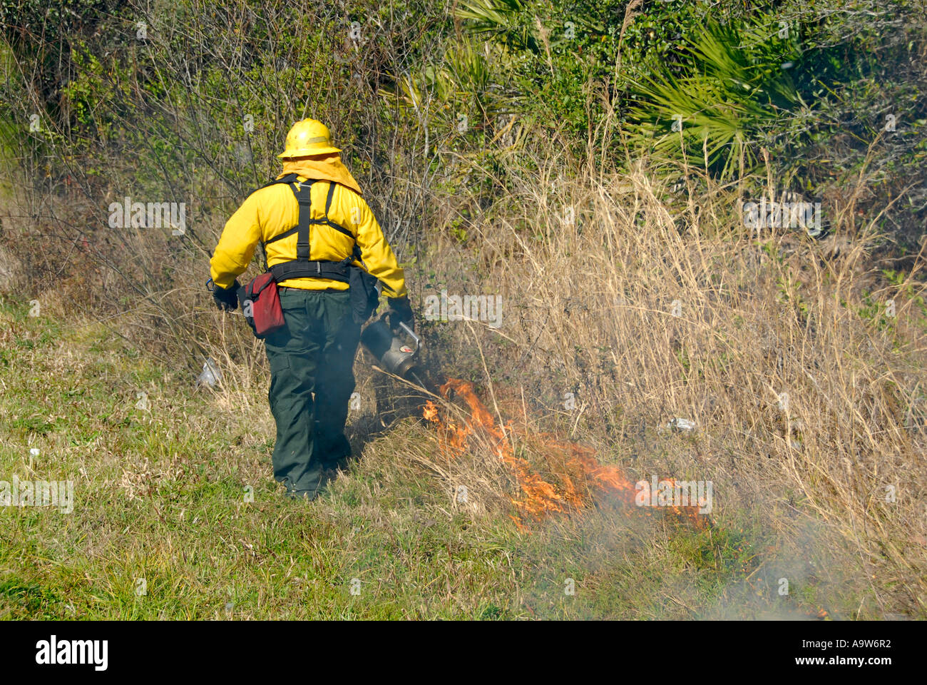 Controlled burning of underbrush hi-res stock photography and images ...