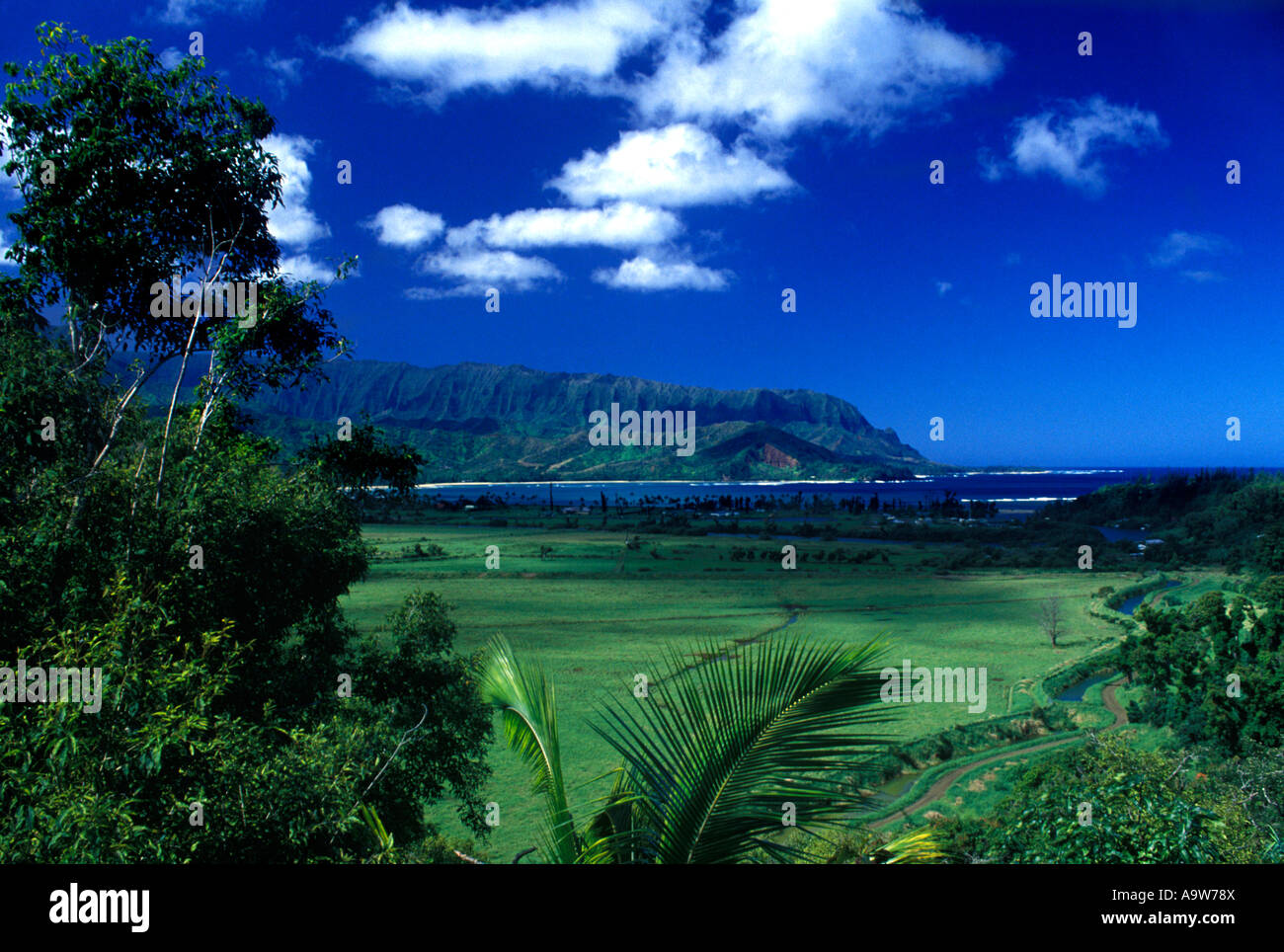 Hanalei valley overlook hi-res stock photography and images - Alamy