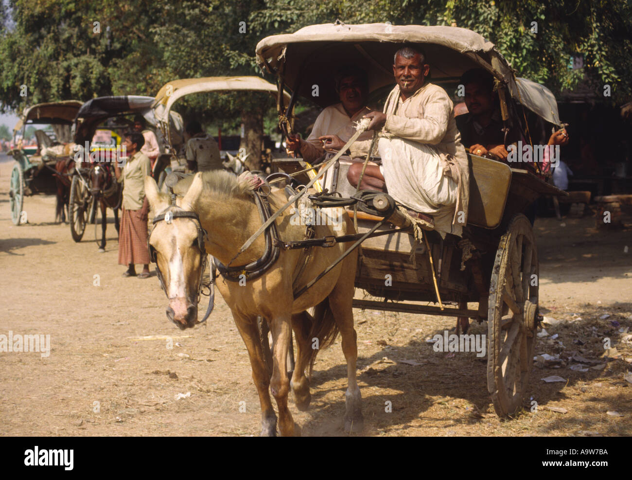 Mule drawn carriage in hi-res stock photography and images - Alamy