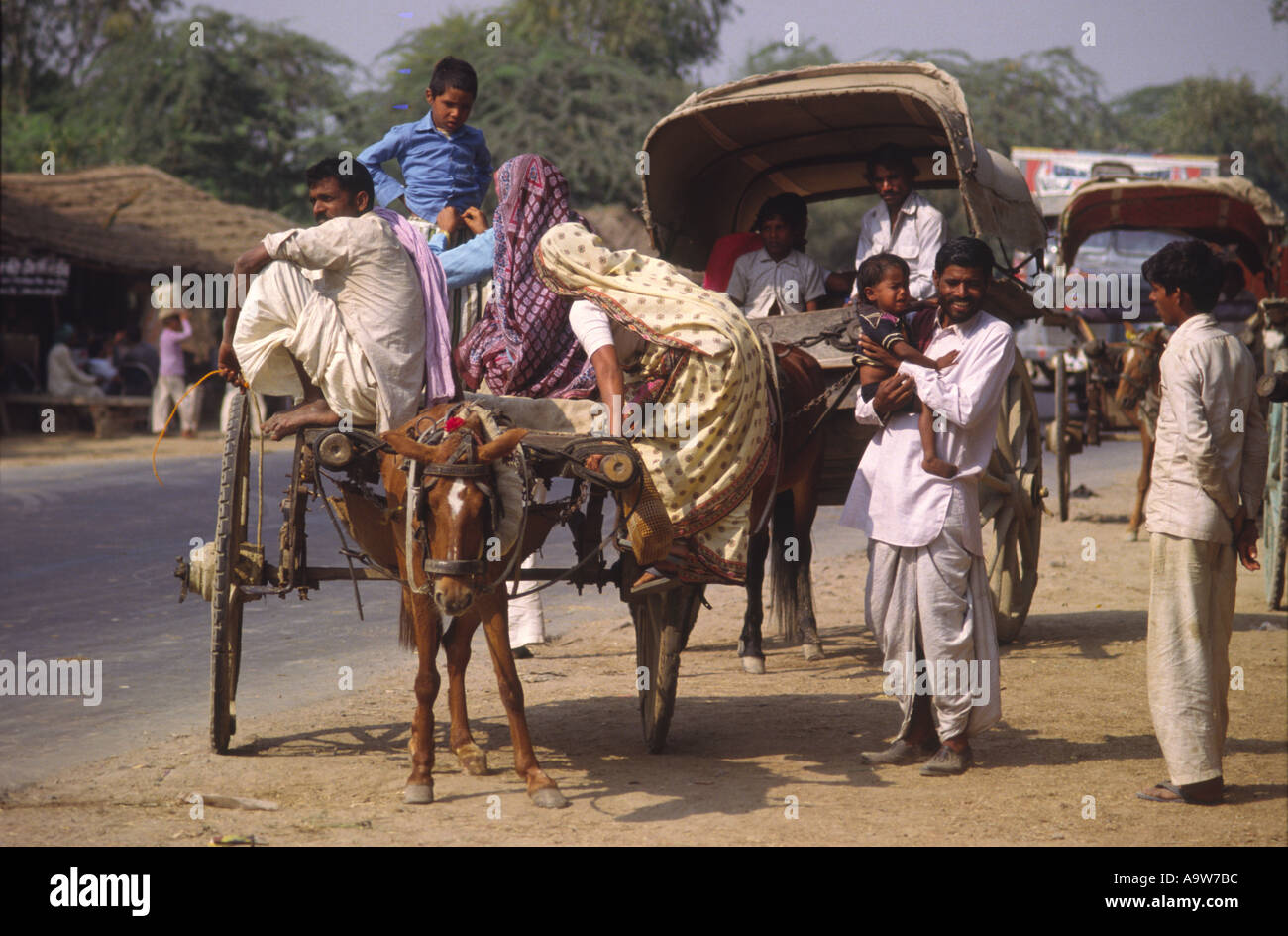 Mule cart hi-res stock photography and images - Alamy