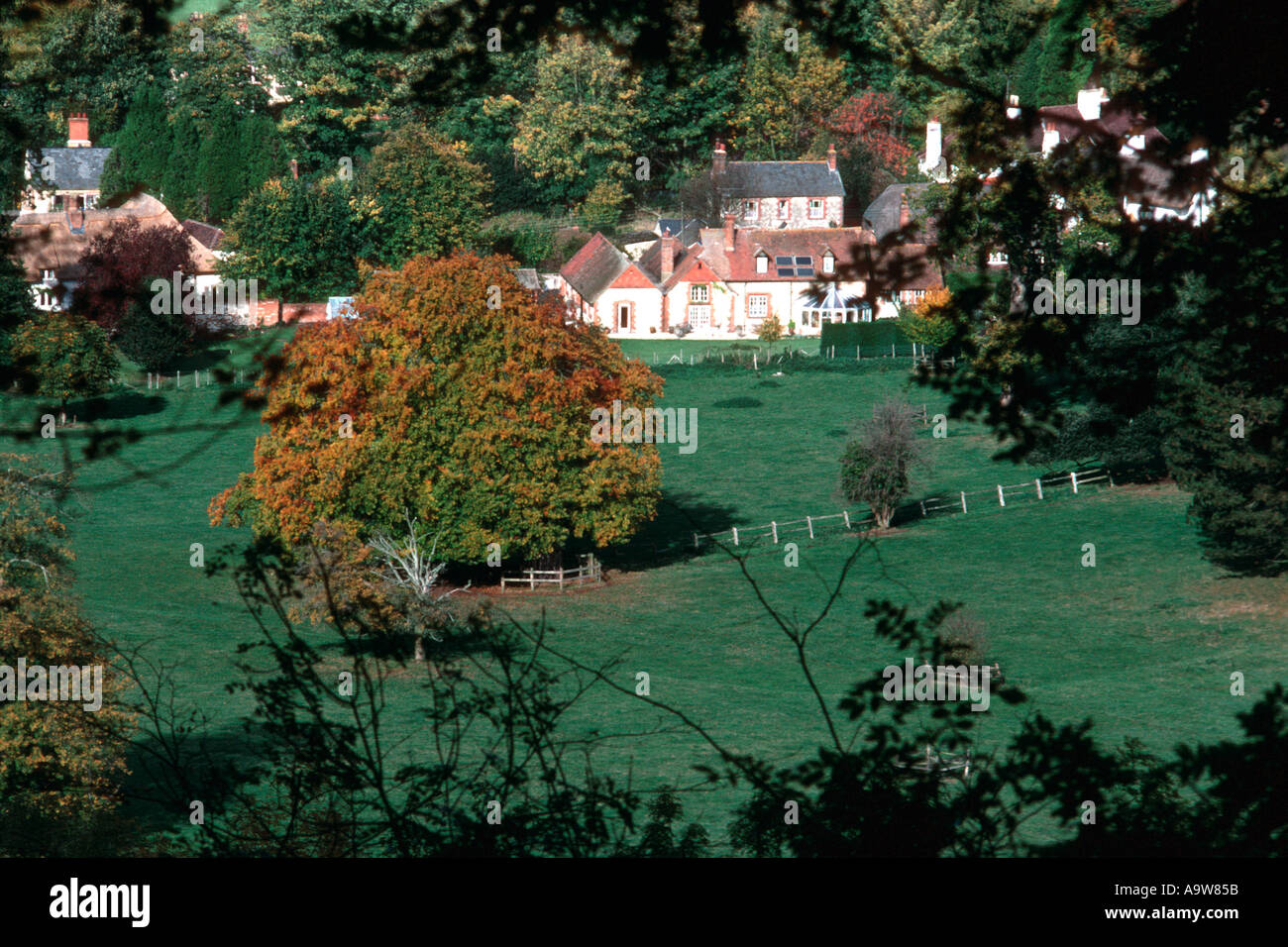 Selborne village view hi-res stock photography and images - Alamy