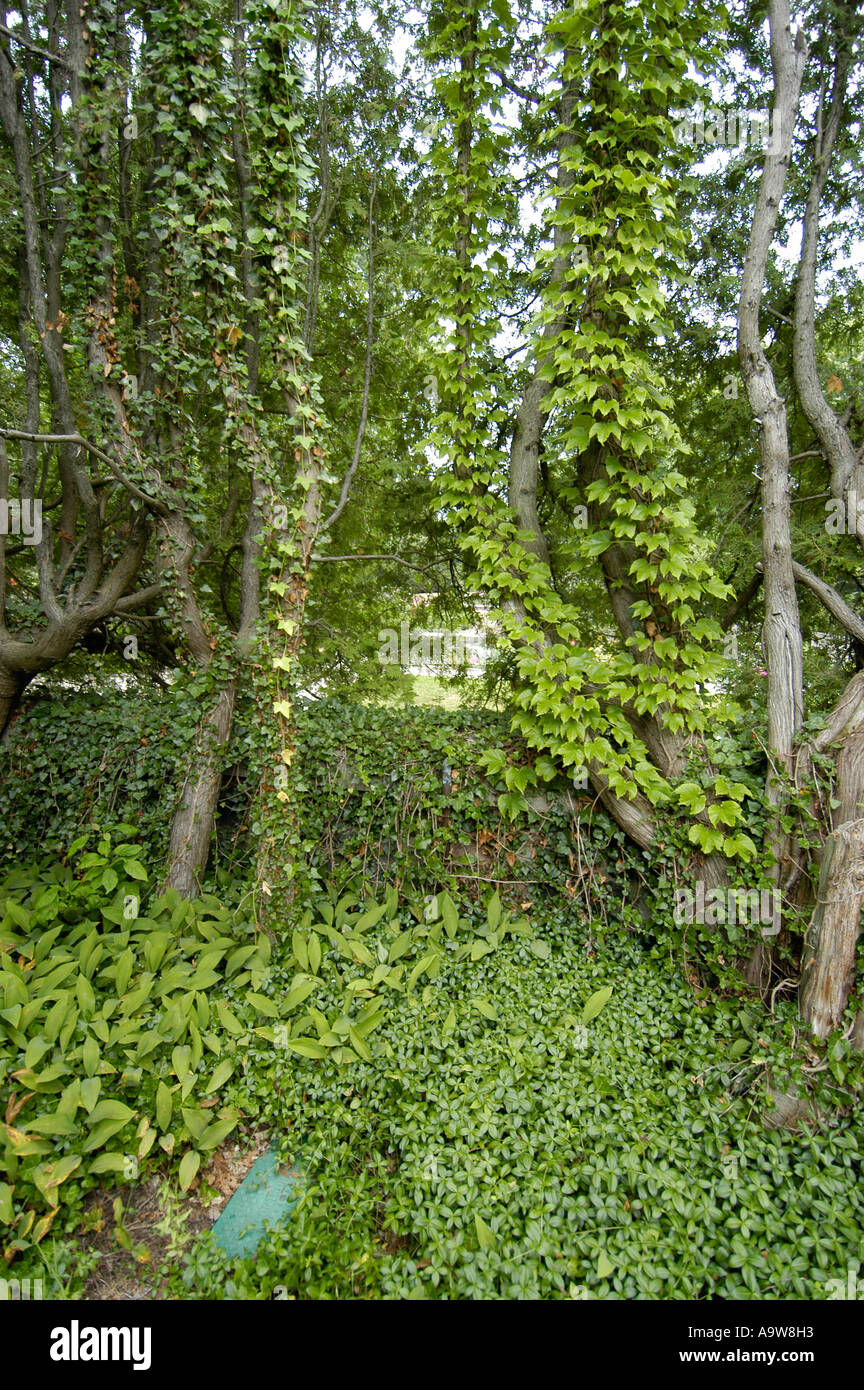 Cranbrook educational community hi-res stock photography and images - Alamy