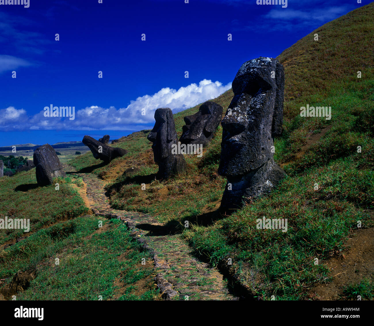 1993 HISTORICAL STONE MOAI HEAD STATUES RANO RARAKU EASTER ISLAND RAPA ...