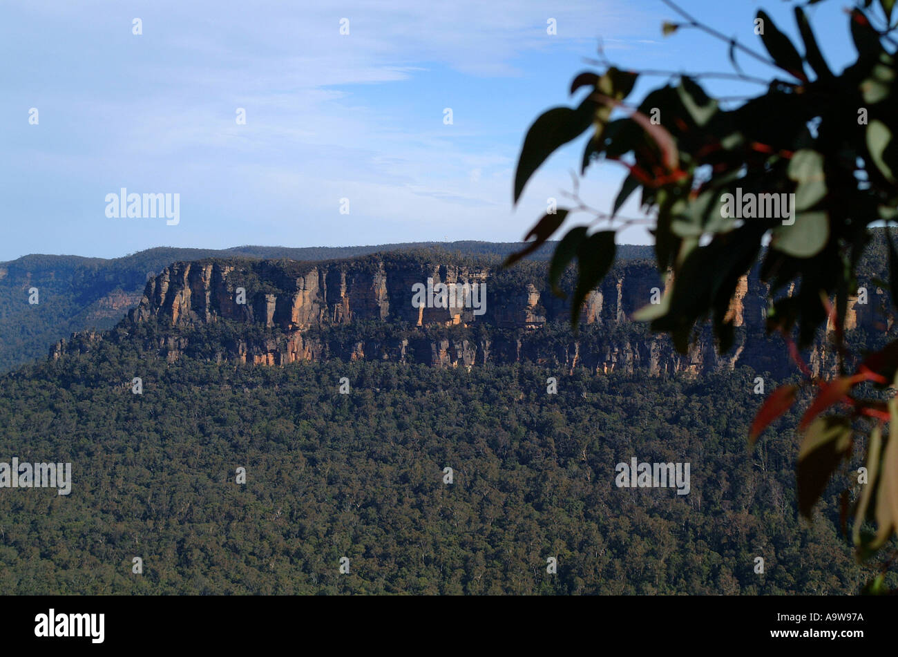 Scenic Blue mountains with tree and brush in foreground Stock Photo - Alamy