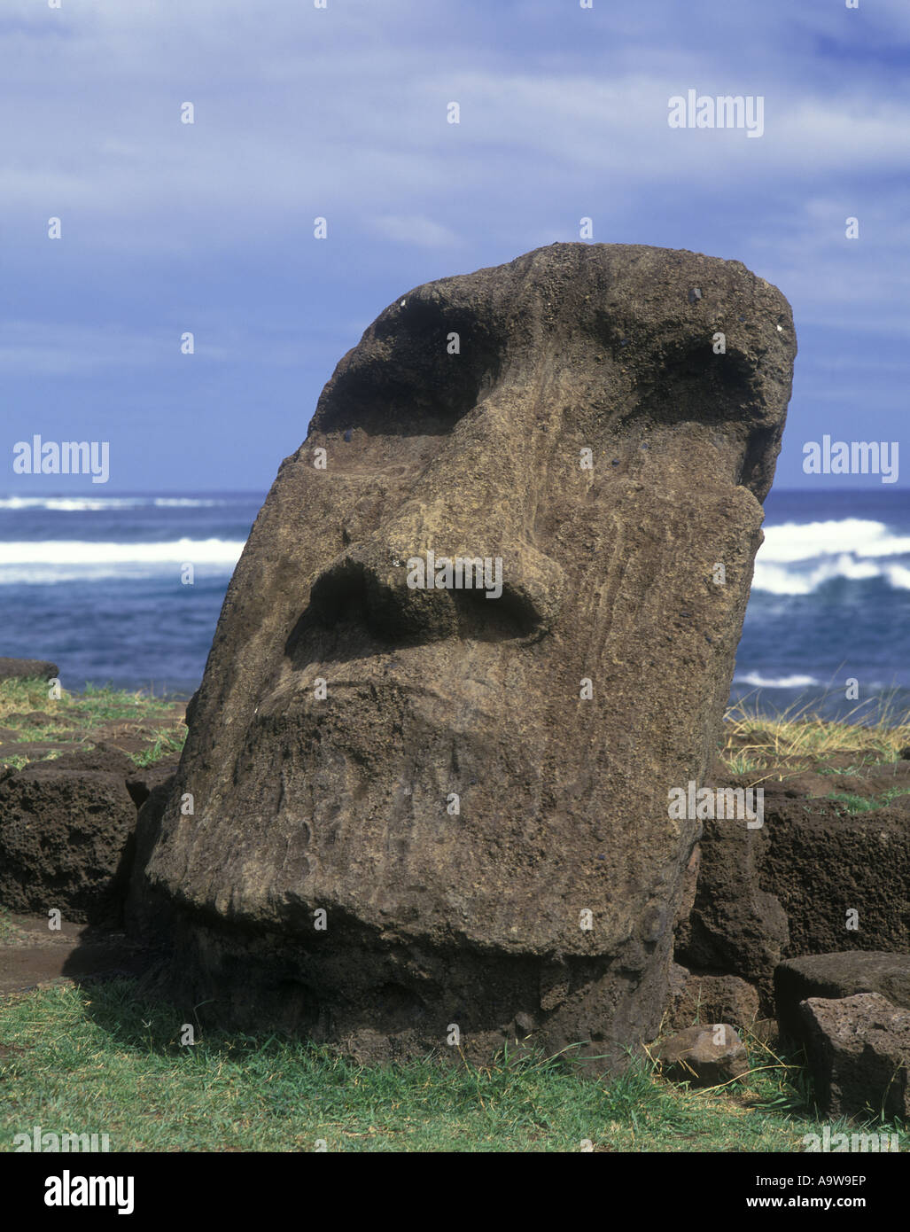 STONE MOAI HEAD STATUE ONGO TAUTIRA EASTER ISLAND RAPA NUI CHILE Stock ...