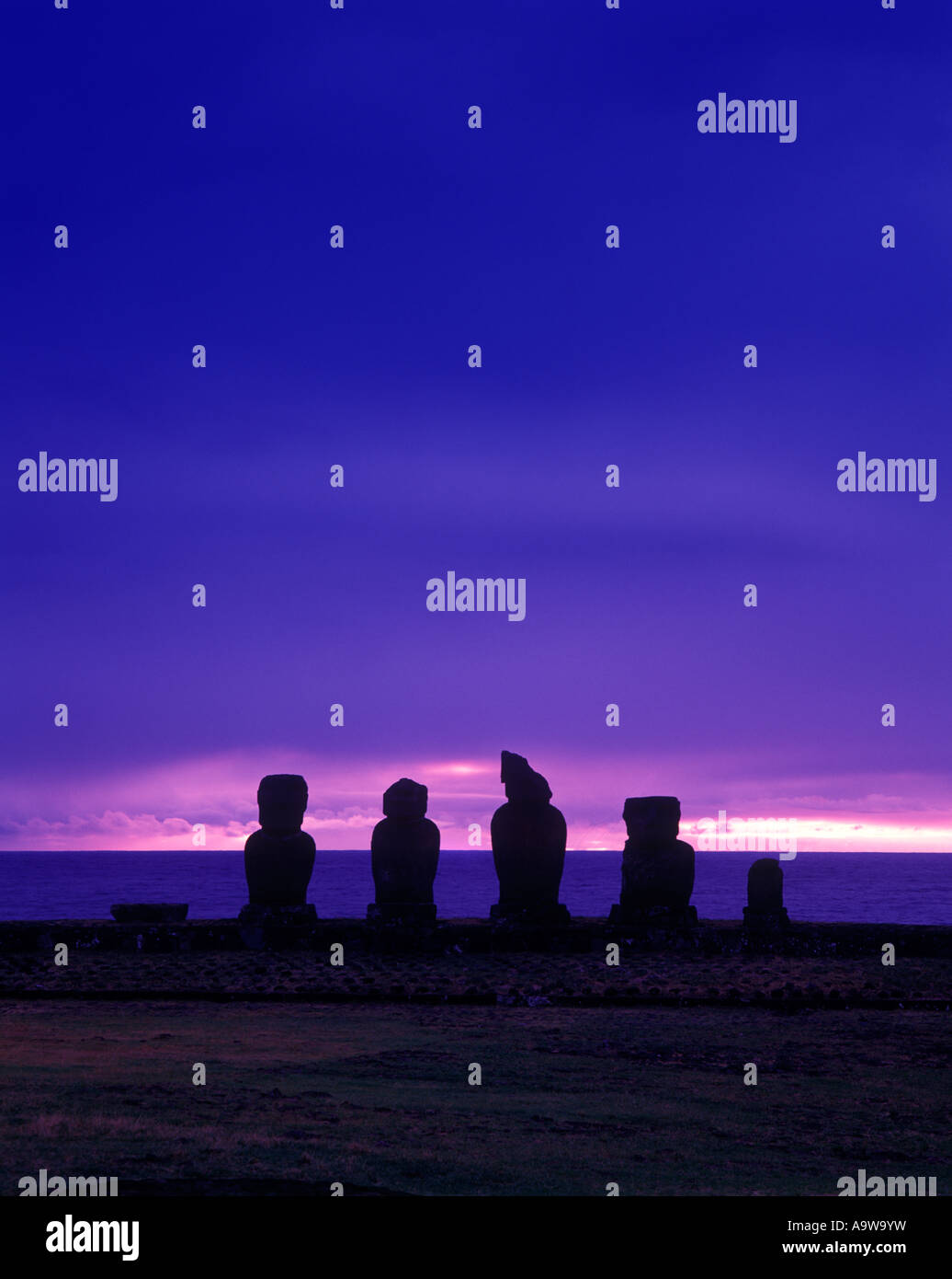 STONE MOAI HEAD STATUES AHU TAHAI KOTE RIKU EASTER ISLAND RAPA NUI ...