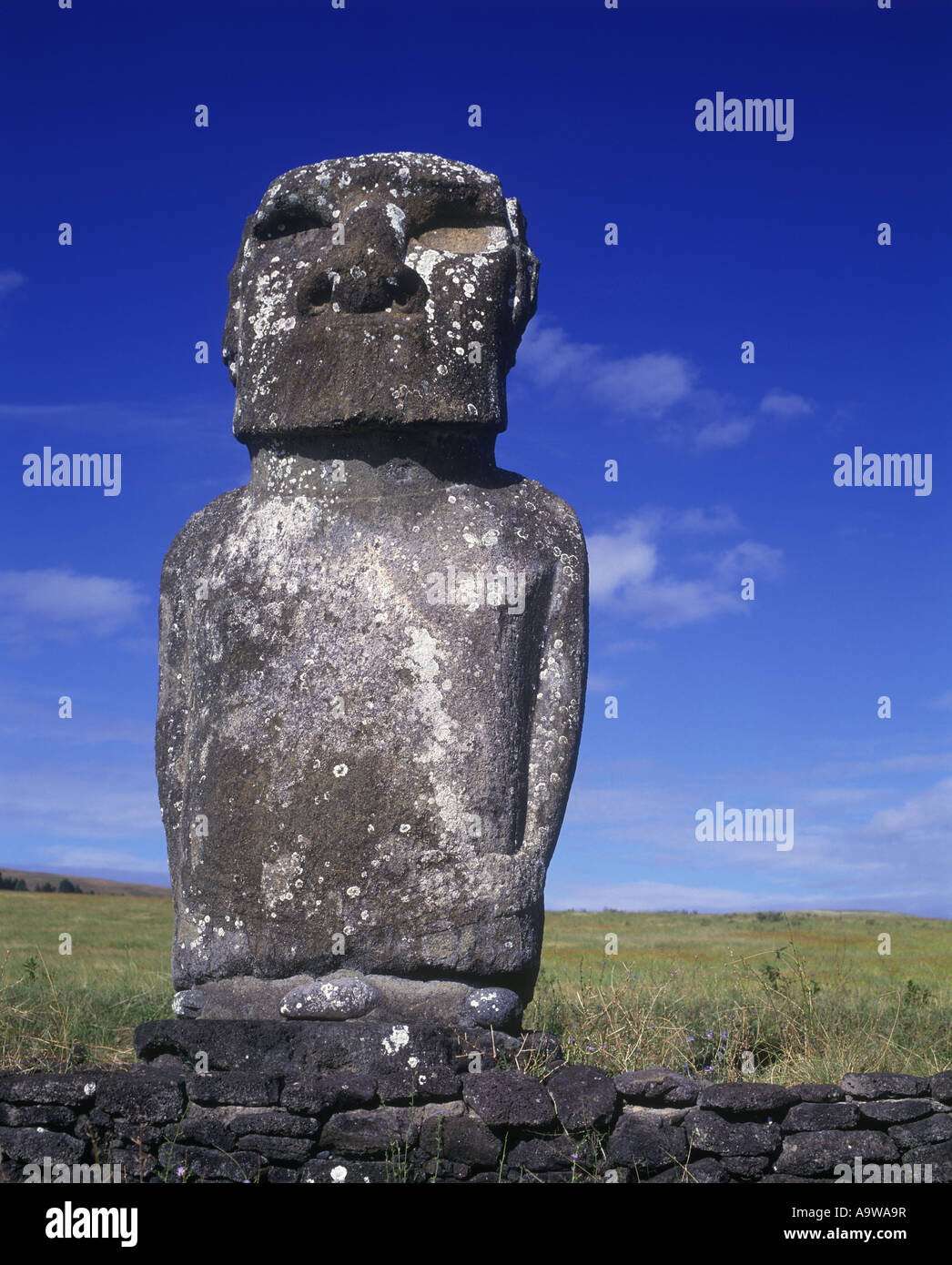 STONE MOAI HEAD STATUE AHU AKIVI EASTER ISLAND RAPA NUI CHILE Stock ...
