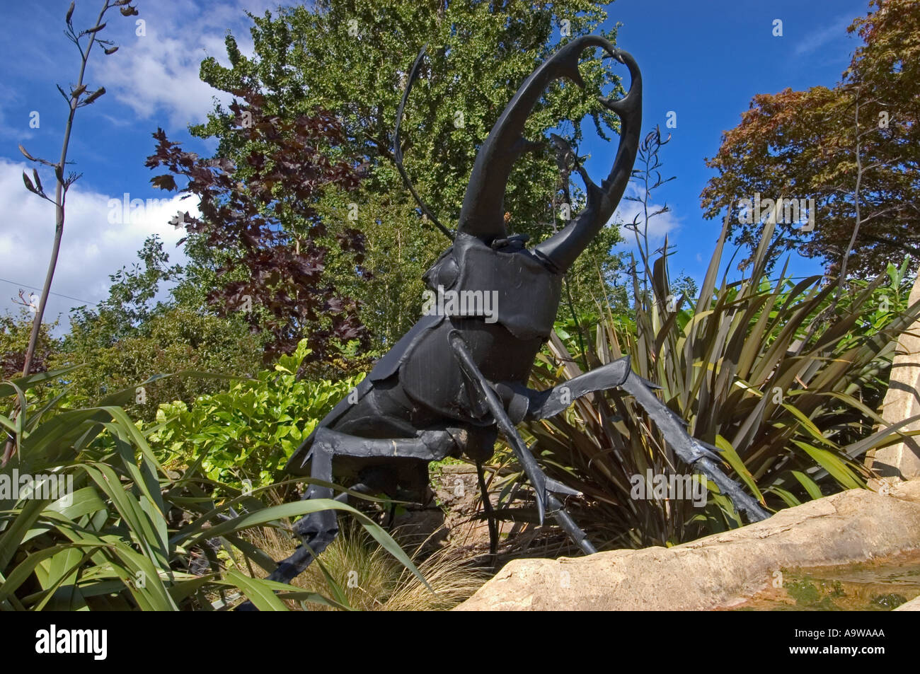 Sculpture of Stag Beetle in Bristol Zoo Gardens, Bristol, England, UK ...