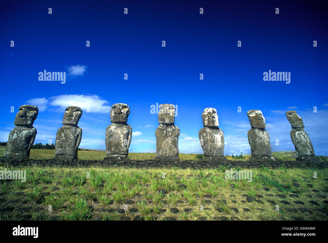LINE OF STONE MOAI HEAD STATUES AHU AKIVI EASTER ISLAND RAPA NUI CHILE ...