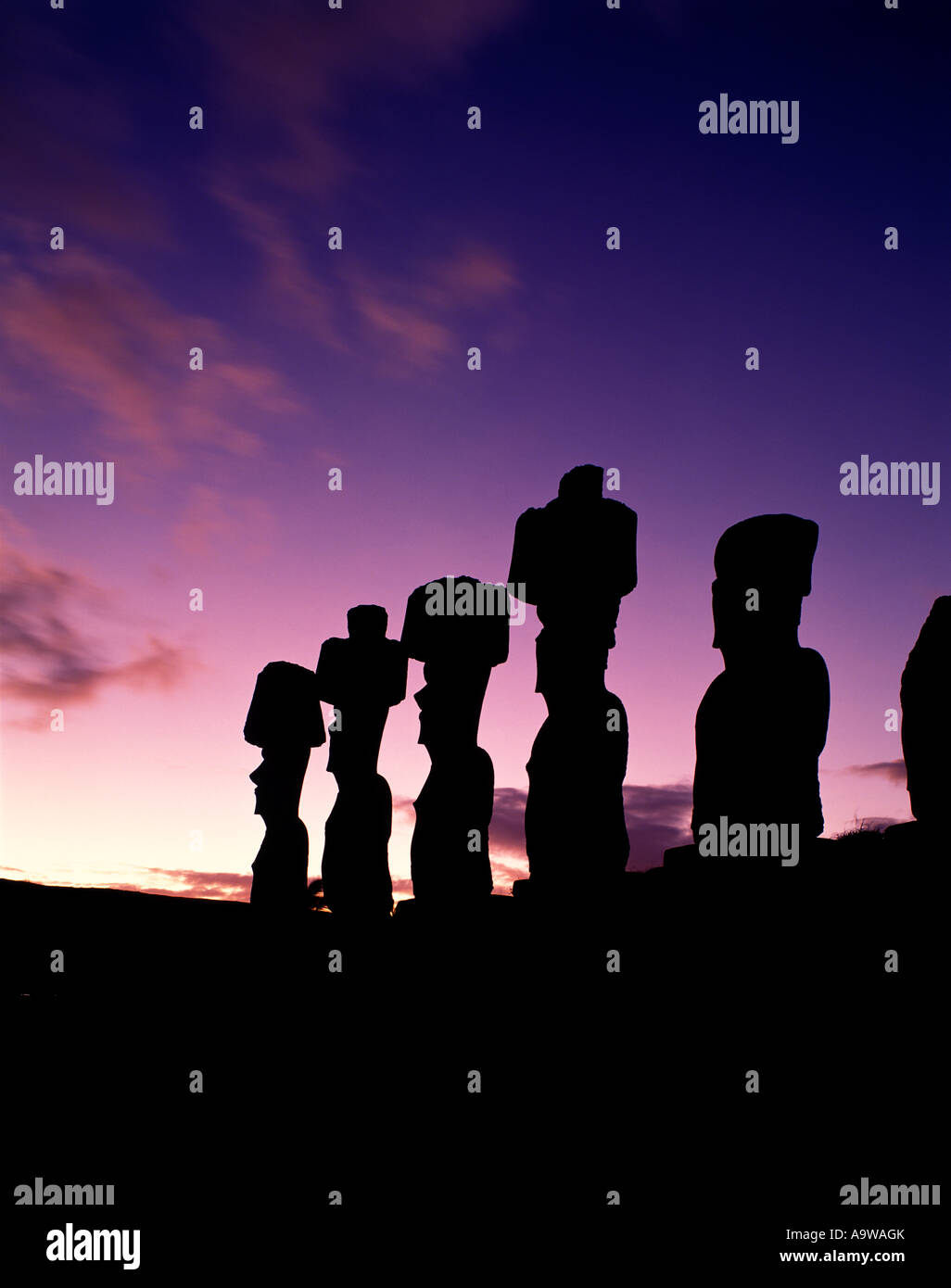 LINE OF STONE MOAI HEAD STATUES AHU ANAKENA EASTER ISLAND RAPA NUI ...