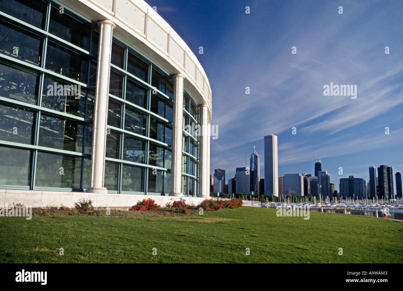 Oceanarium shedd aquarium hi-res stock photography and images - Alamy