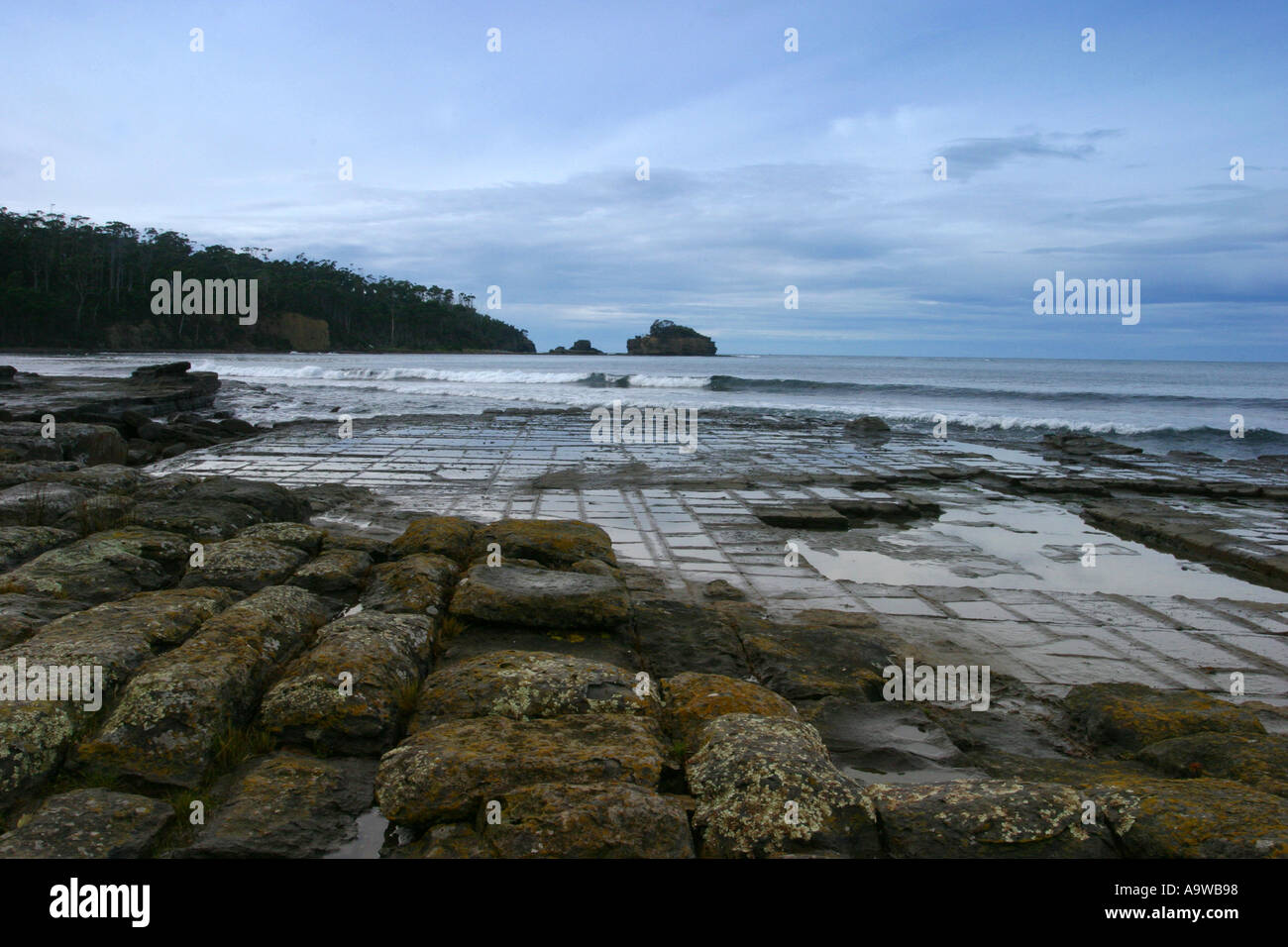 Tessellated Pavement Tasman Peninsular Tasmania Australia Stock Photo ...
