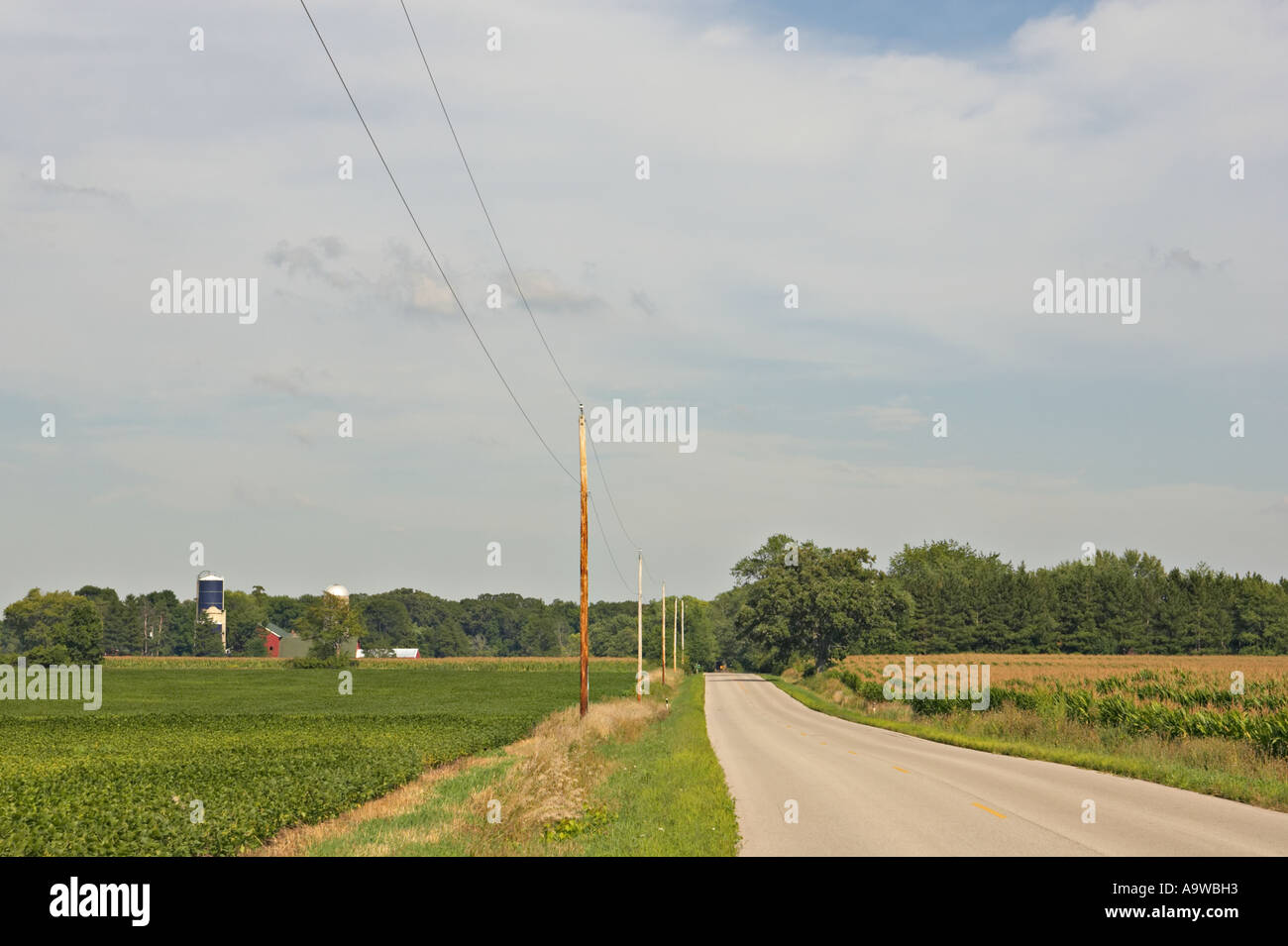 Soybean field usa line hi-res stock photography and images - Alamy