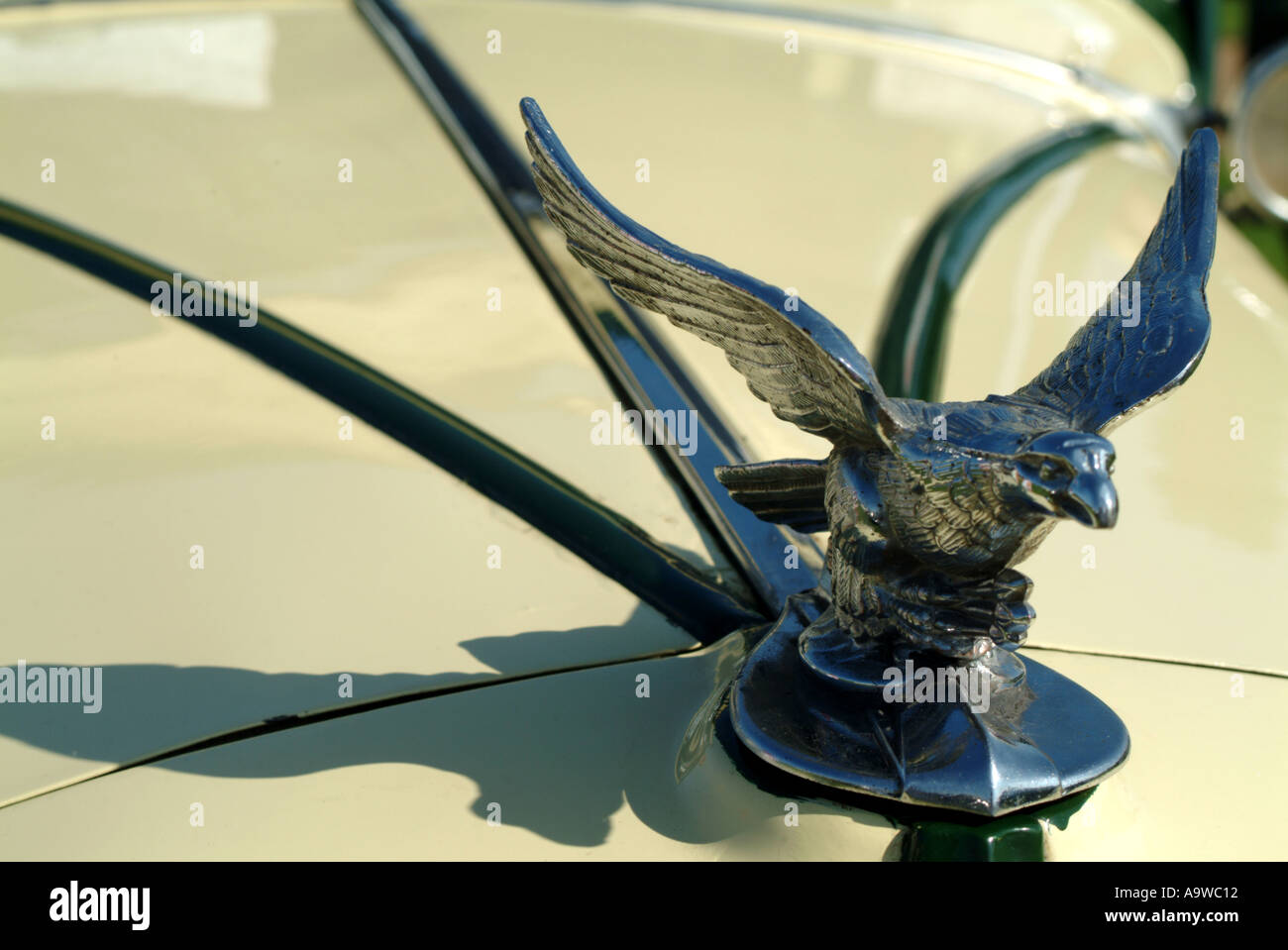 Radiator character hi-res stock photography and images - Alamy