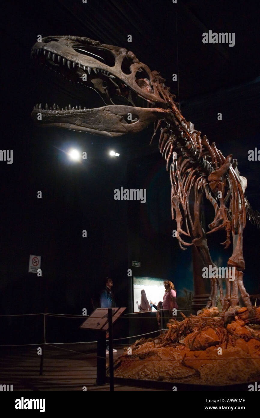 Life size tyrannosaurus rex model hi-res stock photography and images ...