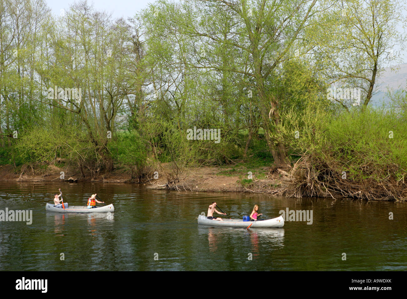 Canoe Symonds Yat, Wye Valley, England Stock Photo - Alamy