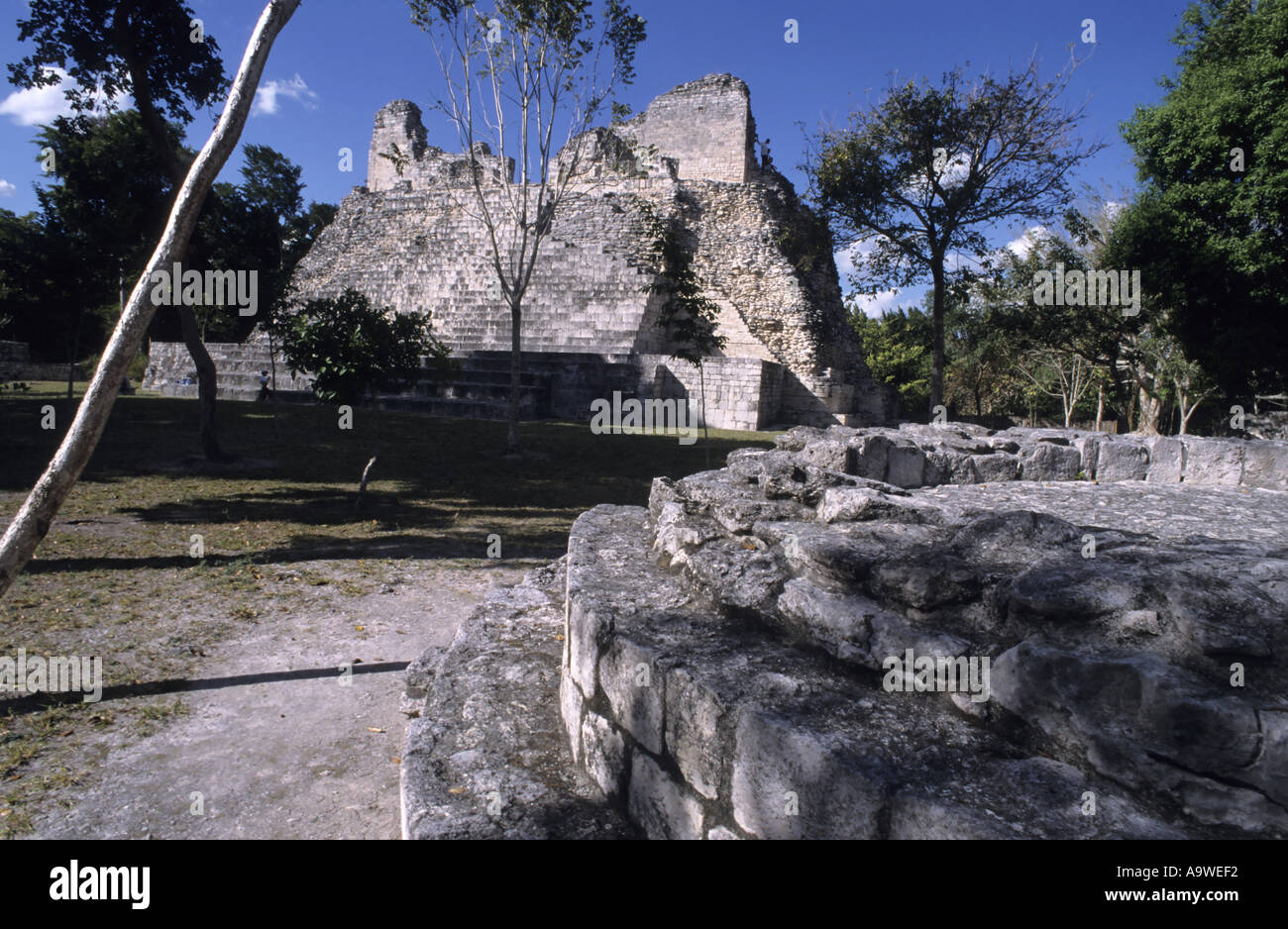 Ancient stone pyramid at a Mayan Site, Campeche, Mexico Stock Photo - Alamy