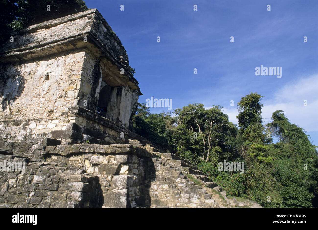 Mexico Chiapas State Palenque Temple 13 Stock Photo - Alamy