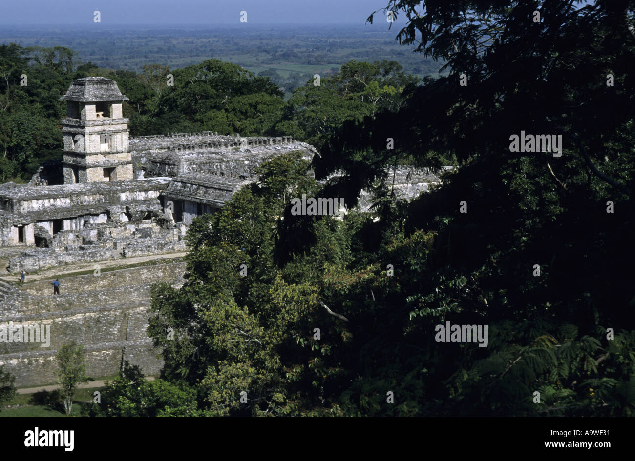 Palenque tower palace chiapas hi-res stock photography and images - Alamy