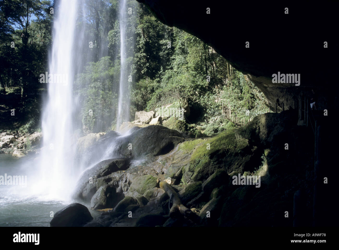 Mexico Chiapas State Rear Of Misol Ha Waterfalls Stock Photo - Alamy